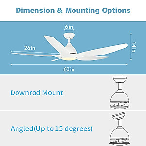 Newday 60" White Ceiling Fans with Light and Remote, Modern, Noiseless Reversible DC Motor, Large Indoor, Kitchen, Bedroom, Living Room