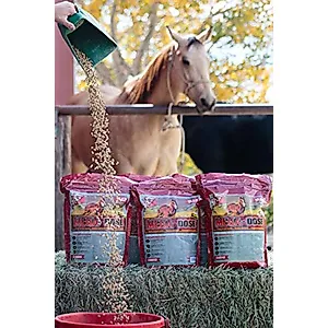 Mega Dose 10 lb, Equine Vitamin Mineral with a Full Serving of Horse Guard Supplement & Hoof Guard
