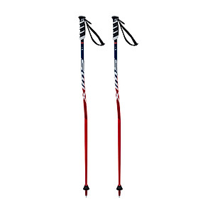 Swix Junior WC Pro Super G Lightweight Durable Alpine Skiing Poles with Downhill Basket, 110