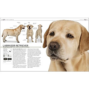 The Complete Dog Breed Book, New Edition (DK Definitive Pet Breed Guides)