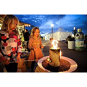 One Log Fire, Mini - Single Log Campfire, 100% Natural Red Pine, Easy Light - 1 Hour Burn Time (3 Pack)