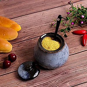 Antique Ceramic Sugar Bowl Salt Bowl with Lid and Spoon 8oz Seasoning (Grey Blue) Seasoning Can