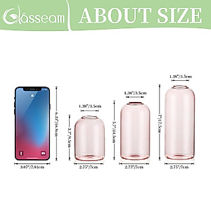 Glasseam Bud Vase Set of 6, Cute Pink Flower Vase Decor, Decorative Small Vases for Flowers, Unique Flower Vases for Centerpieces, Modern Cylinder Vases for Wedding Dining Table Decorations
