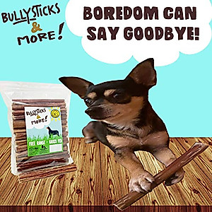 BULLYSTICKS & MORE 6 Inch Bully Sticks (Regular - 16 Pack) | Bully Sticks for Medium Dogs | 100% Grass Fed Beef | Dog Parents Choice Bully Stick Dog Chews | No Hide Bully Bones