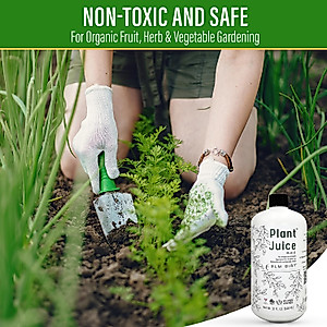 Elm Dirt Plant Juice Organic Fertilizer for All Plants - Indoor or Outdoor (1 Bottle)