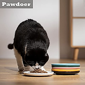 Pawdoer Ceramic Shallow Cat Dish, Whisker Fatigue Free Cat Food Bowls, Wide and Small Pet Plate for Kitten and Kitty, Short Legged Munchkin Cat