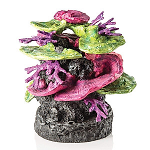biOrb 48361 Coral Rock Ornament, Green/Purple