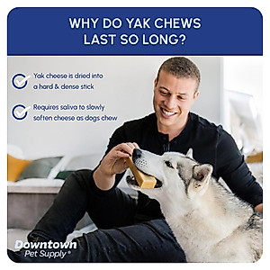 Downtown Pet Supply Yak Cheese Himalayan Dog Chews - Large Yak Chews Rich in Nutrients for Medium to Large Dogs - Long Lasting, Odorless and Easy to Digest Cheese Dog Treats - 1 LB