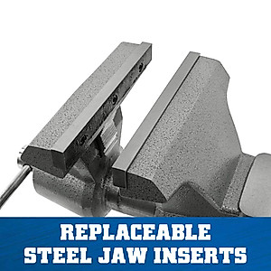 Wilton Mechanics Pro Bench Vise, 10" Jaw Width, 12" Jaw Opening, 5-1/4" Throat (Model 8100M)