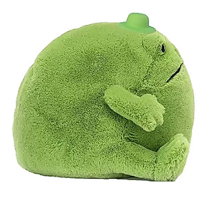 ZOKOL 2023 New Ricky Rain Frog Plush Stuffed Toy, 8 inch Soft Frog Gift Doll for Kids