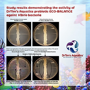 DrTim’s Aquatics Eco-Balance for Saltwater Aquariums – Multi-Strained, Supportive Probiotic Bacteria to Maintain a Balanced Fish Tank Environment-64 oz.