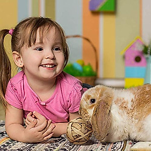 RoyalPolar 8 Pcs Small Animals Chew Toys Rat Activity Ball Guinea Pig Play Toys for Rabbits Squirrel Gerbils Small Pets Chewing and Playing Exercise Teeth Care, Pet Cage Entertainment Accessories