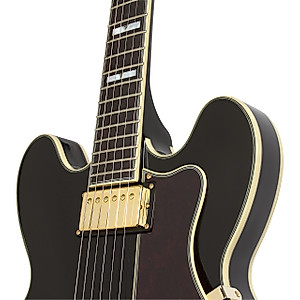 Epiphone Sheraton II PRO Gold Hardware, Ebony