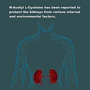 LifeLink NAC (N-Acetyl L-Cysteine) | 600 mg x 120 Capsules | Antioxidant, Anti-Aging, Immunity | Gluten Free & Non-GMO | Made in The USA