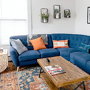 BambooMN Two-Inch Latex Elasbelt Webbing for Chair Repair - 40' Roll Black