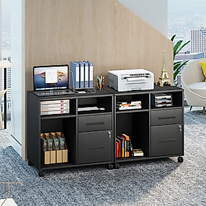 YITAHOME 2-Drawer Filing Cabinet, Office Metal Stainless Steel Mobile Lateral Filing Cabinet On Wheels, Printer Stand with Open Storage Shelves for Home Office