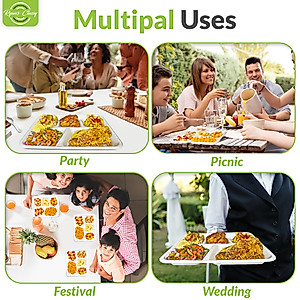 Ryan's Classy Plastic 5 Compartment Plates Disposable, 125 Pack Heavy-Duty Paper Plates with Compartment 10.5 x 8.5 inches Asian Plates Microwave Freezer Safe, Eco-Friendly School Lunch Trays