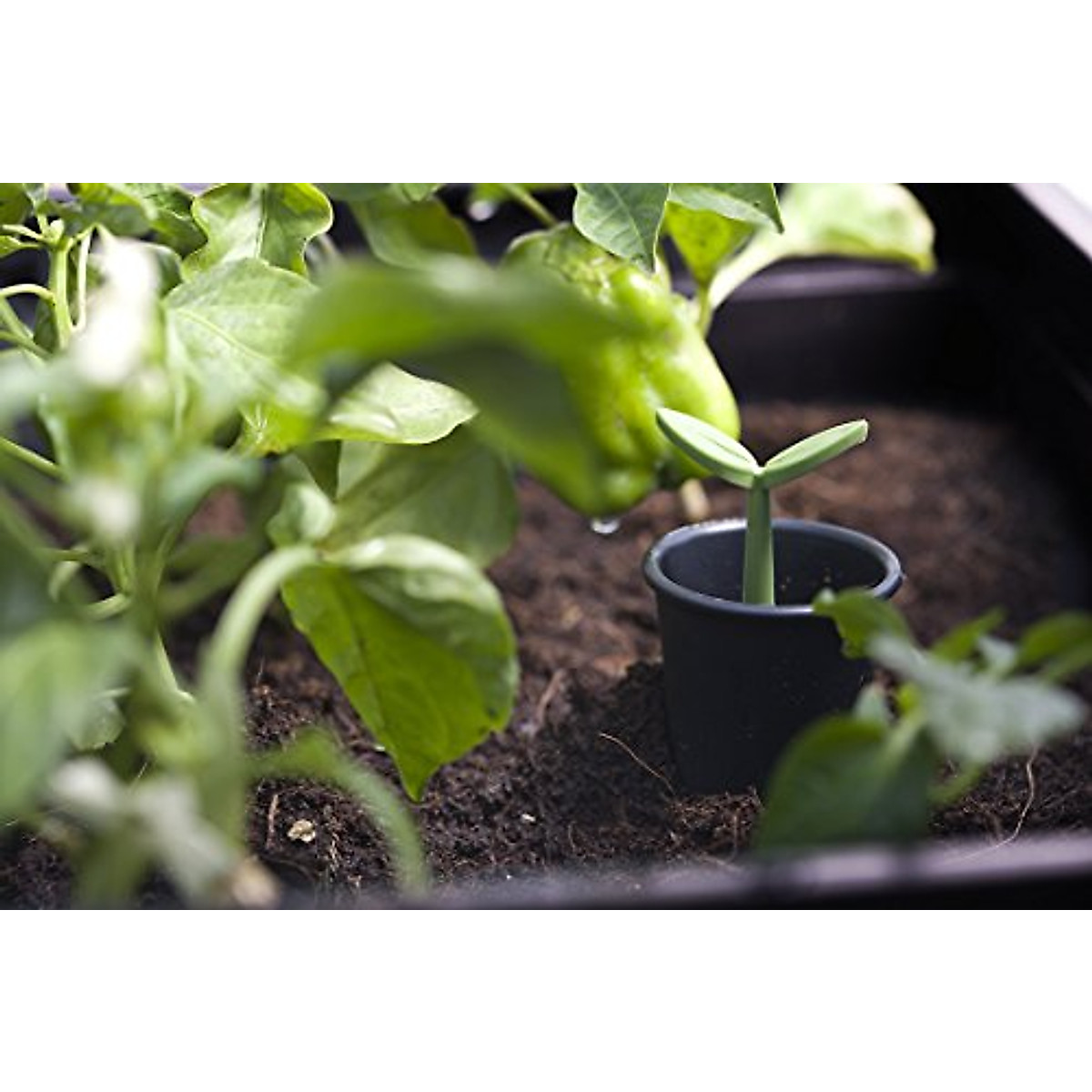 Keter Urban Bloomer 12.7 Gallon Raised Garden Bed with Self Watering Planter Box and Drainage Plug, Dark Grey