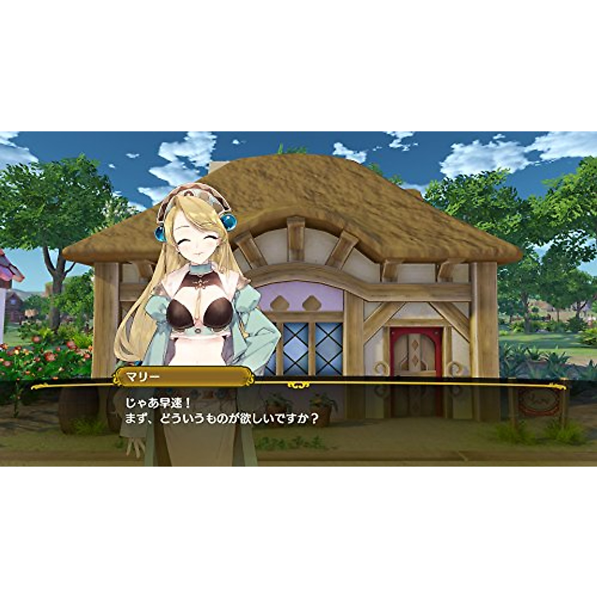 Nelke & The Legendary Alchemists: Ateliers of The New World - Nintendo Switch