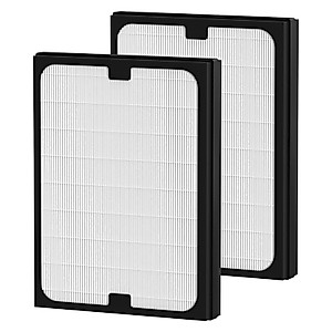 Ganteny Classic 200/300 Series Particle HEPA Filter Replacement Compatible with Blueair Classic 200/300 Series Air Cleaner Purifier Models 201, 203, 205, 215B, 250E, 270E, 303, 2 Pack
