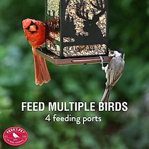 Perky-Pet 8504-1SR Wilderness Lantern Style Bird Feeder - 2 lb Seed Capacity