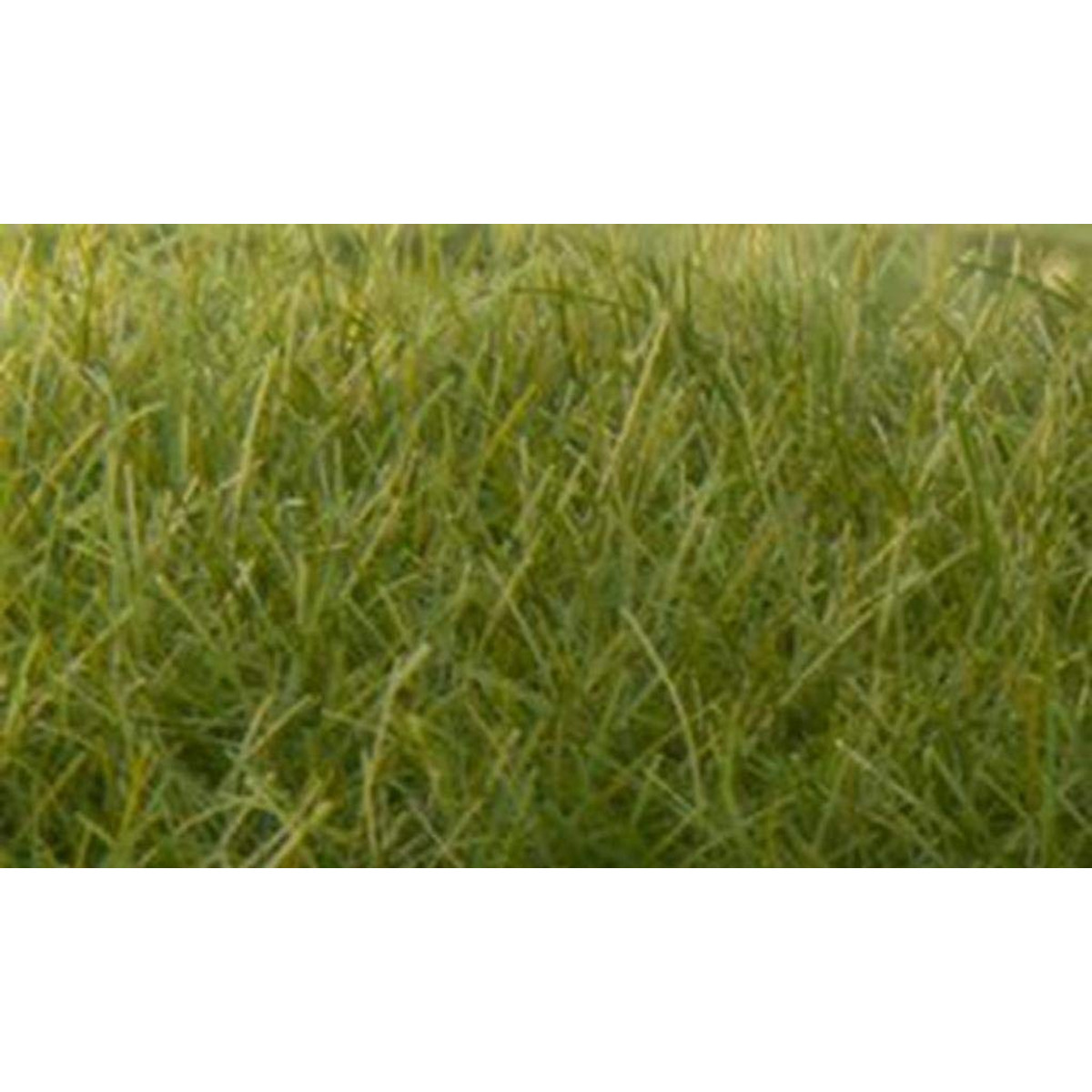 Woodland Scenics FS625 Static Grass, Dark Green 12mm