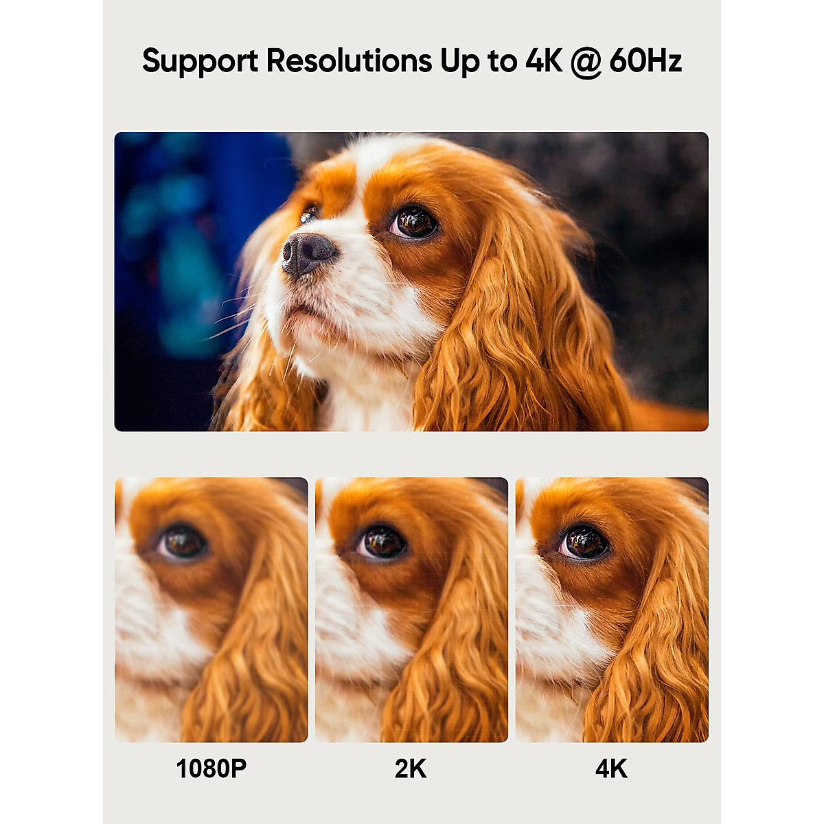 CableCreation Mini HDMI to HDMI Cable 6FT, 4K High-Speed HDMI to Mini HDMI Adapter, Mini HDMI to Standard HDMI for Graphics Card, HDTV, Camera, HDR-XR50, Z6, EOS RP/EOS R/EOS 7D Mark II/XA40, etc