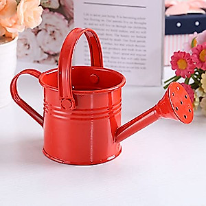 SMLJFO Watering Can for Indoor Outdoor Plants, Modern Style Watering Pot with Handle Sprinkler Head Iron House Garden Flower Long Spout Shower Pink 5.1in
