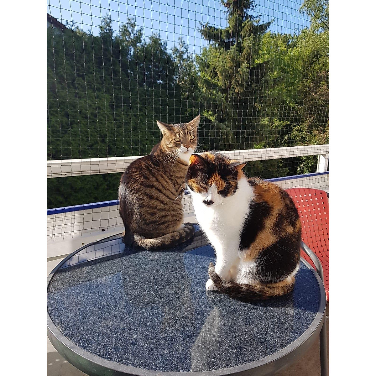 AIYGO Cat Netting Balcony Pet Mesh Fence for Balcony Black Nylon Balcony Netting for Pets Anti-Fall Cat Net for Balcony and Windows（10 * 20ft）