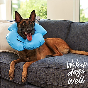Dogswell Remedy + Recovery Dog First Aid, Inflatable Collar, Large