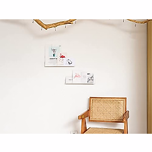 IEEK 4 PCS Floating Invisible Kids Bookshelf Wall Mounted Nail Polish Rack,Clear Acrylic Picture Ledge Vinyl Record Display Shelf Nail Polish Holder with Removable Anti-slip End Inserts,15 inch