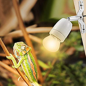 eecoo 300W Reptile Lamp Socket, 360° Rating Heat Light Holder Kit, Habitat Basking Lamp Base Stand with Switch, E27 Socket for Lizard Turtle Snake Aquarium (no Bulb Included)