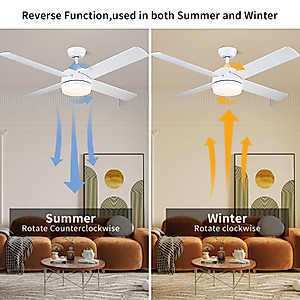 CJOY Ceiling Fans with Lights, 52 inch Ceiling Fan with Light and Remote, LED Dimmable, Modern Ceiling Fan Reversible Two-color 4 Blades, 3 Speeds Quiet, Outdoor Ceiling Fan for Patios/Bedroom Indoor
