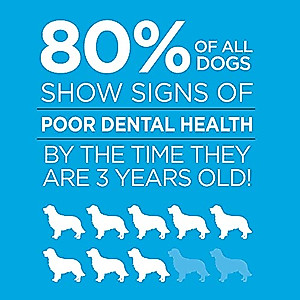 Vetality Brush Free Oral Gel for Dogs | Vet Formulated Dental Care with ProLong Technology | Cleans Teeth and Gums