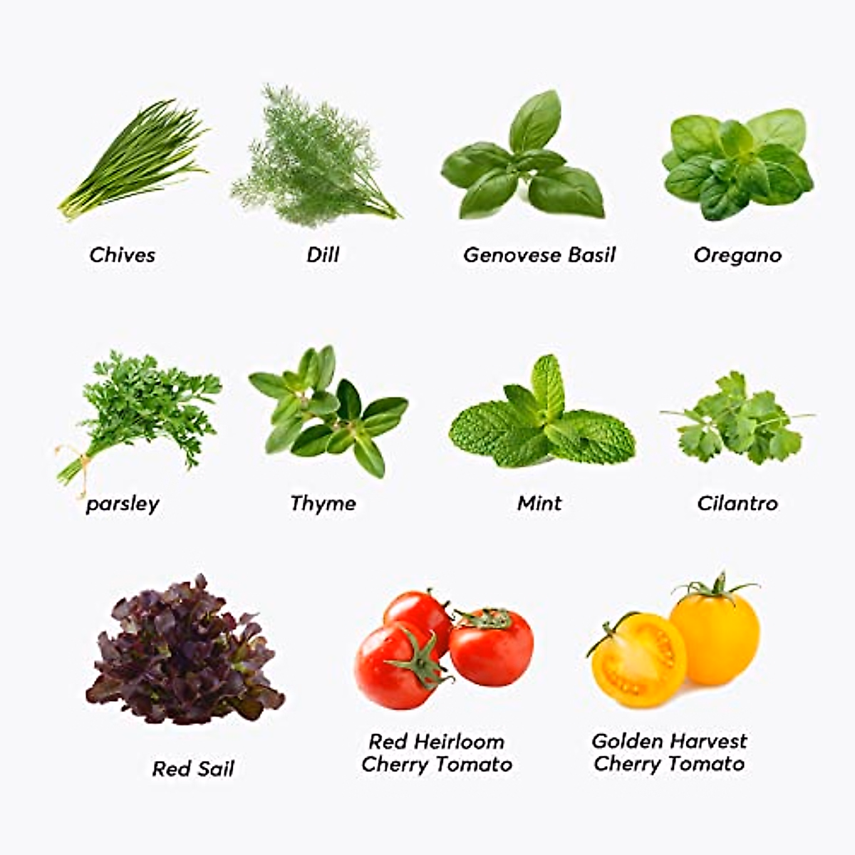 Seed Pods for Hydroponics Growing System - (No Seeds), Hydroponics Supplies with 24 Grow Sponges, 12 Planting pods,2 Set a&b Hydroponic Nutrient Plant Food,28 Stickers,12 Seeding Cover, Total 76 Pcs