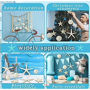Queekay 15 Pieces Resin Starfish Sand Dollars 2.0 Inch Starfish 4.7 Inch Starfish 2.3 Inch Sand Dollars Crafts Ocean Themed Glittered Coastal Decorations for Christmas Wedding Party Decor Supplies