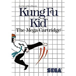 Kung Fu Kid