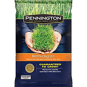 Pennington Premium Blend Bermuda Grass, 1 lb.