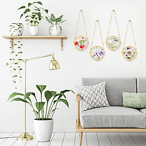 BBTO 8 Pack Round Hanging Glass Frame Small Brass Hanging Photo Frames Set Wall Mounted Gold Double Glass Display for Pressed Flowers Photos Dried Specimen DIY Artwork Display Decoration, 3.9 Inch