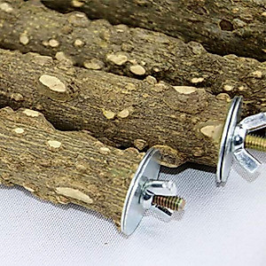 Kshcf Portable Parrot Stand Pepper Wood Bird Perch Parrot Toy Stand Birds Chew Stand Gift Holder Cockatiel