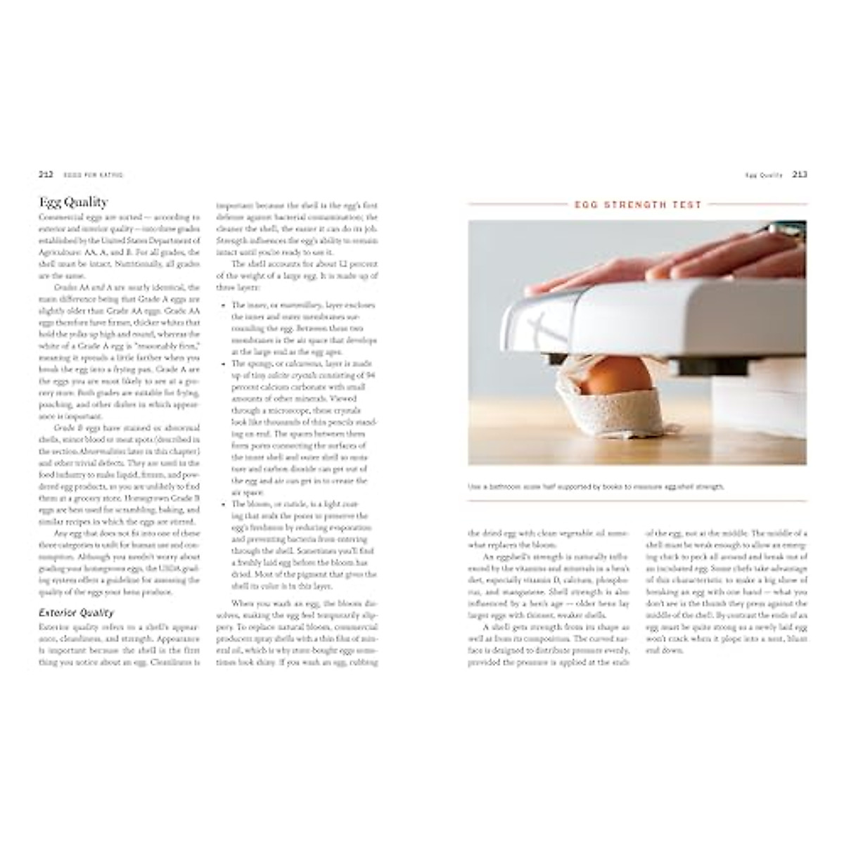 Storey's Guide to Raising Chickens, 4th Edition: Breed Selection, Facilities, Feeding, Health Care, Managing Layers & Meat Birds