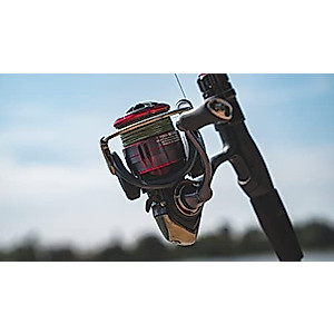 Daiwa 0001-4676 Fglt2500D-XH Fuego Lt,Black