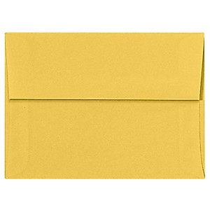 Peaks Publishing Inc Aspen Treasure Note Cards Thank You Cards All Occasion Greeting Cards Stationery - Boxed Set of 20 Cards and Matching Envelopes