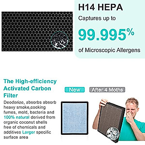 HIMOX M11 Air Purifier Replacement Filter, Medical Grade Genuine H14 True HEPA Filter (99.99%) with 5-Stage Air Filtration System for Home Large Room Bedroom Pets