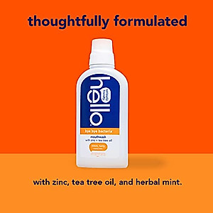 Hello Bye Bye Bacteria Oral Rinse Mouthwash, Alcohol Free Mouthwash for Bad Breath with Tea Tree Oil and Zinc, Multipack, No Alcohol, No Dyes, Vegan, Herbal Mint Flavor, 3 Pack, 16 OZ Bottles