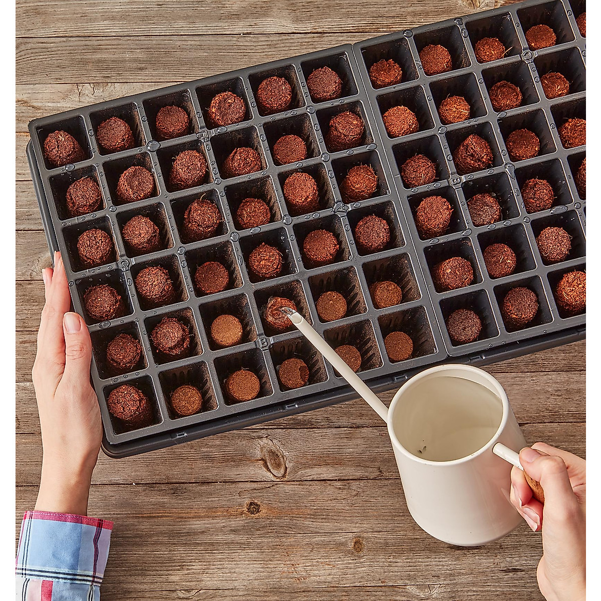 Burpee Self-Watering Seed Starter Tray, 72 Cells