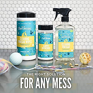 Aunt Fannie's Cat Carpet Refresher, Odor Neutralizing Powder for Homes with Cats, Kittens and Other Pets, Bright Lemon Scent, 16 Ounce (Pack of 1)