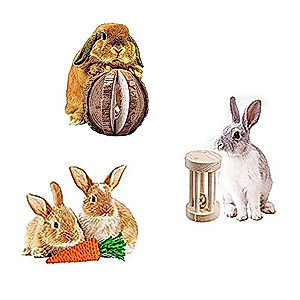 Bipily Hamster Chew Toys 12 Pack Natural Wooden Pet Toy Small Pets Teeth Care