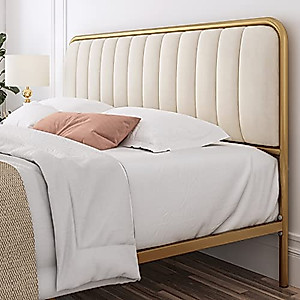 HITHOS King Size Bed Frame, Upholstered Bed Frame with Button Tufted Headboard, Heavy Duty Metal Mattress Foundation with Wooden Slats, Easy Assembly, No Box Spring Needed (Golden/Off White, King)