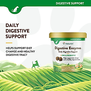NaturVet Advanced Probiotics and Enzymes Supplement Digestive Enzymes - Plus Probiotics & Prebiotics Soft Chews, 70 Count Made in The USA with Globally Source Ingredients 70 Soft Chews